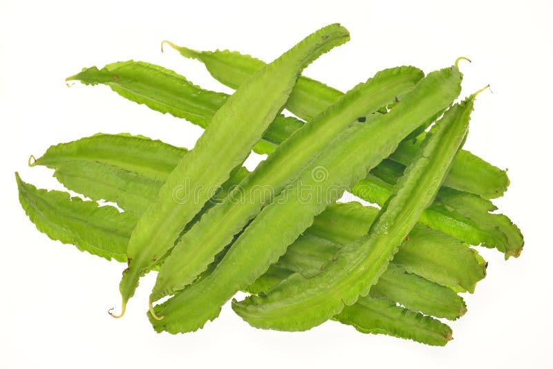 Winged Beans, Angled Beans stock photo. Image of nutrition - 34000446