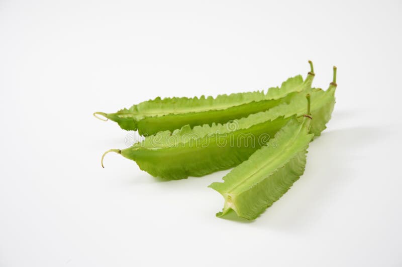 Winged Beans on White Background Stock Photo - Image of cuisine, crop ...