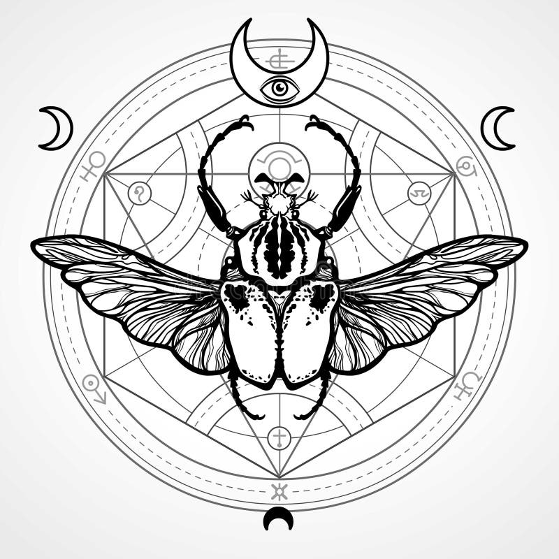 Circle Bug Stock Illustrations – 8,325 Circle Bug Stock Illustrations ...