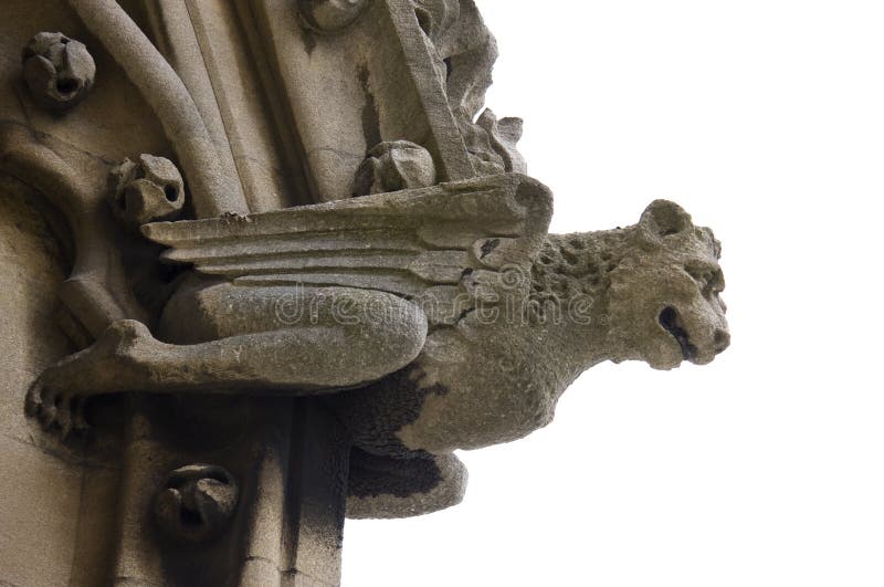 Winged Gargoyle Picture. Image: 5775526