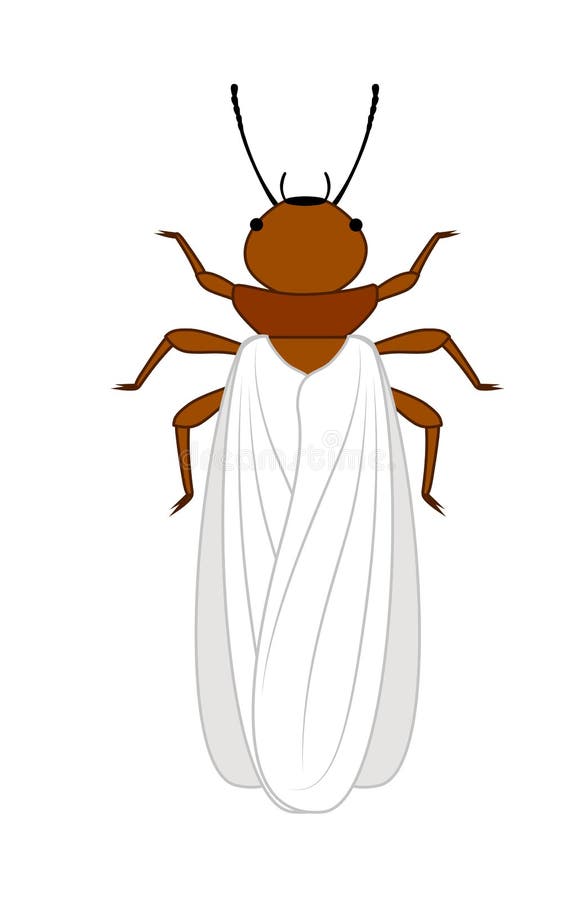 Termite Insect Wood Single Flat Color Vector Icon Stock Vector ...