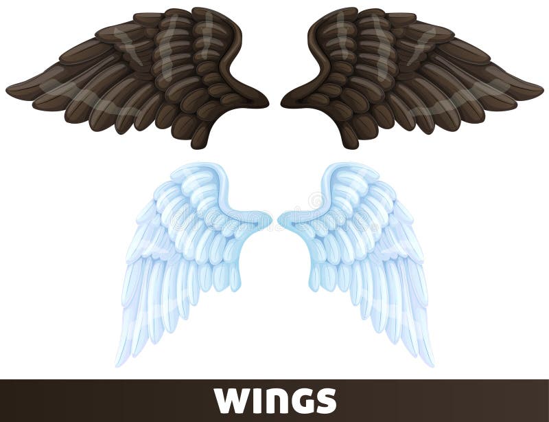 Wings matching stock illustration. Illustration of mysticism - 20354567