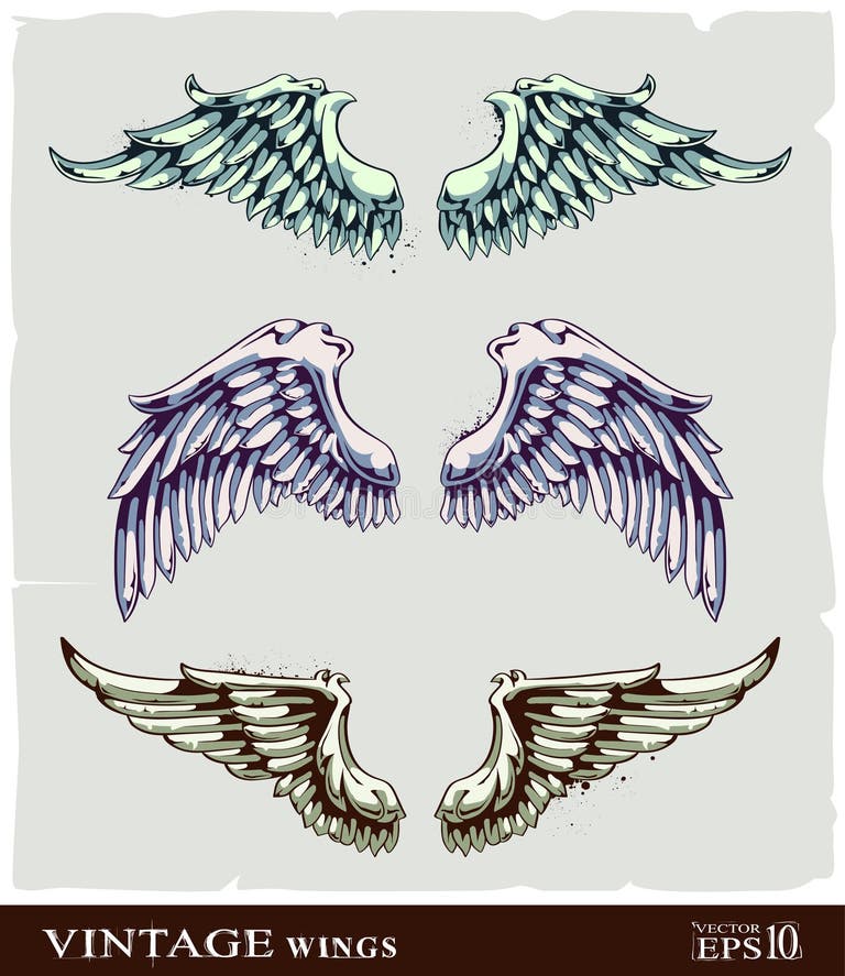 Layered Bird Wings Stock Illustrations – 1,272 Layered Bird Wings Stock ...