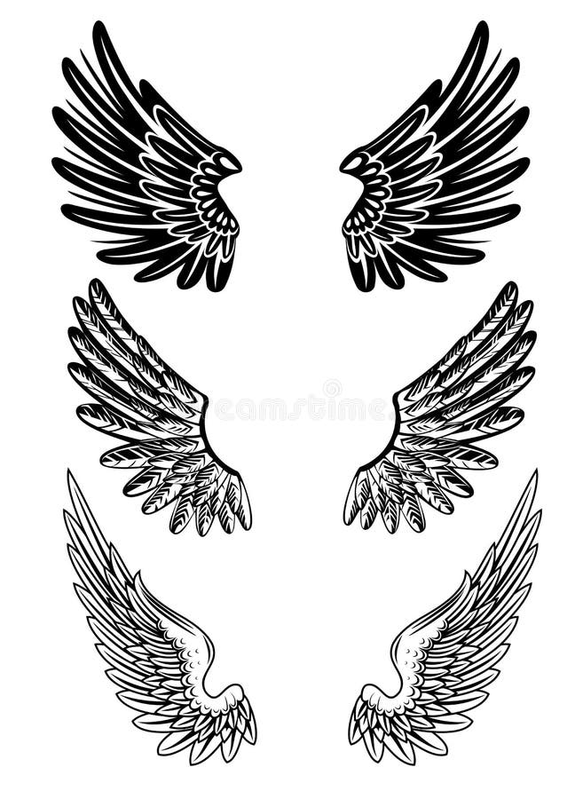 Vector Wings Eagle Graphic Image Stock Vector - Illustration of wing ...
