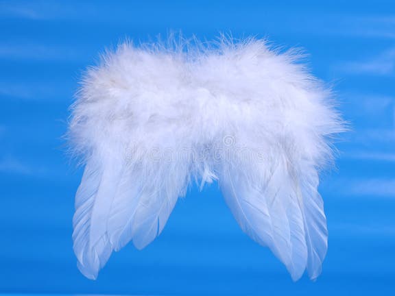 Wings stock image. Image of flying, holy, feather, wings - 564585