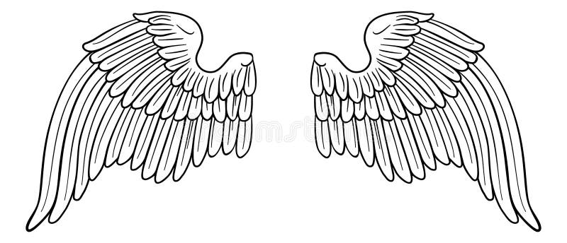 Eagle or angel wings stock vector. Illustration of purity - 43008319