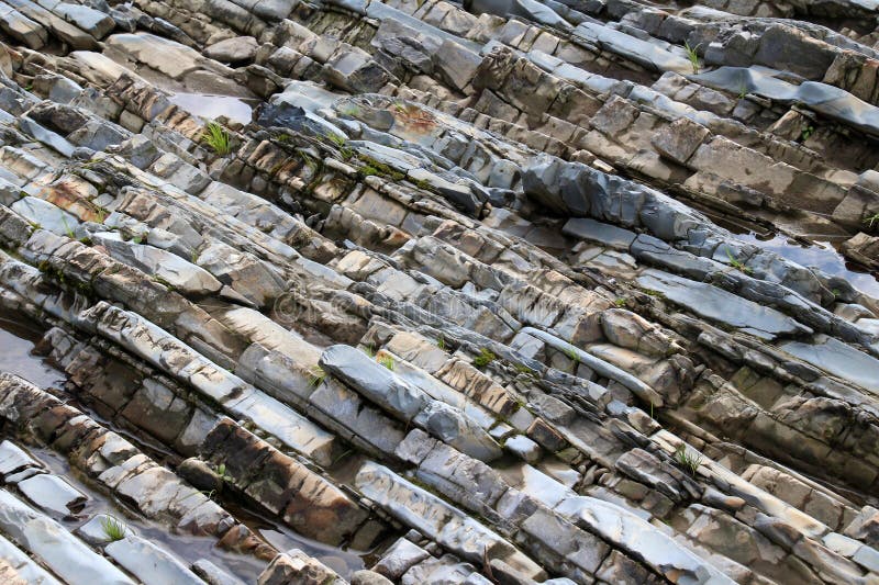 Wings of Flysch Sedimentary Rock Formations in the Carpathians (Ukraine ...