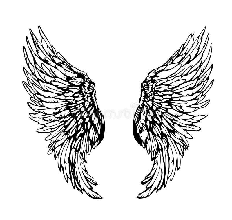 Wings . Hand drawn stock illustration. Illustration of angel - 381059316