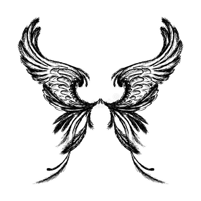 Wings Isolated on White Background,hand Drawing. Stock Vector ...
