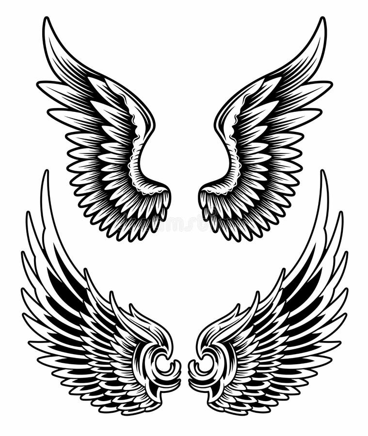 Vector Wings Eagle Graphic Image Stock Vector - Illustration of wing ...