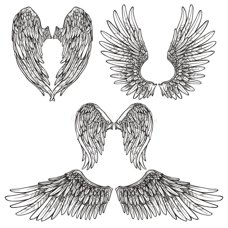 Hand Drawn Wing. Sketch Angel Wings with Feathers, Elements for Logo ...