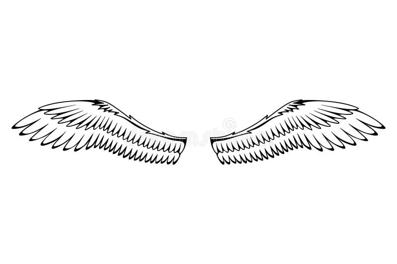 Wings Sketch. Stylized Birds Wings. Hand Drawn Contoured Stiker Wing in ...