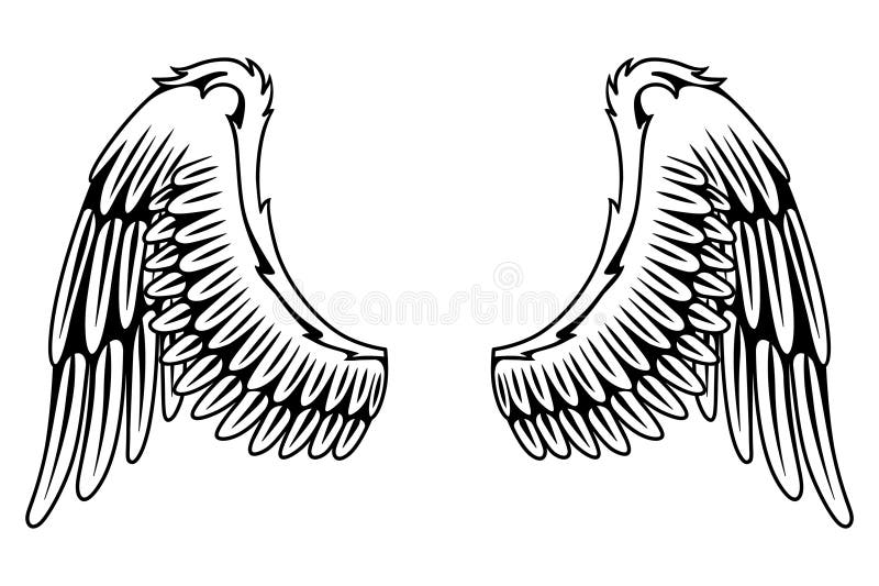 Wings Sketch. Stylized Birds Wings. Hand Drawn Contoured Stiker Wing in ...