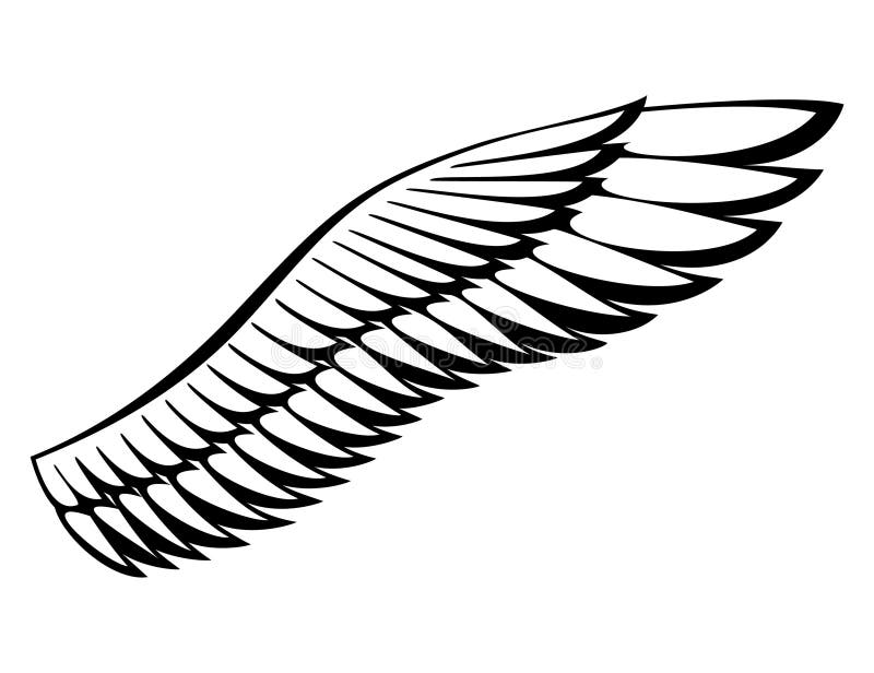 Wings Sketch. Stylized Birds Wings. Hand Drawn Contoured Stiker Wing in ...