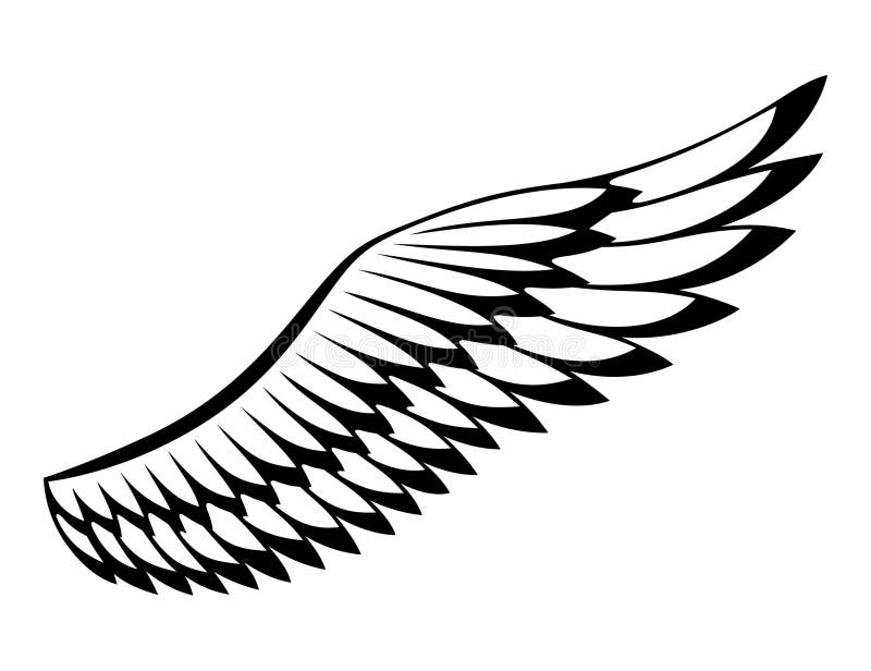 Wings Sketch. Stylized Birds Wings. Hand Drawn Contoured Stiker Wing in ...