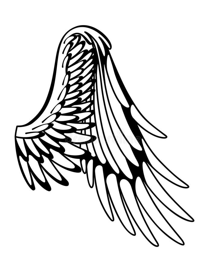 Wings Sketch. Stylized Birds Wings. Hand Drawn Contoured Stiker Wing in ...