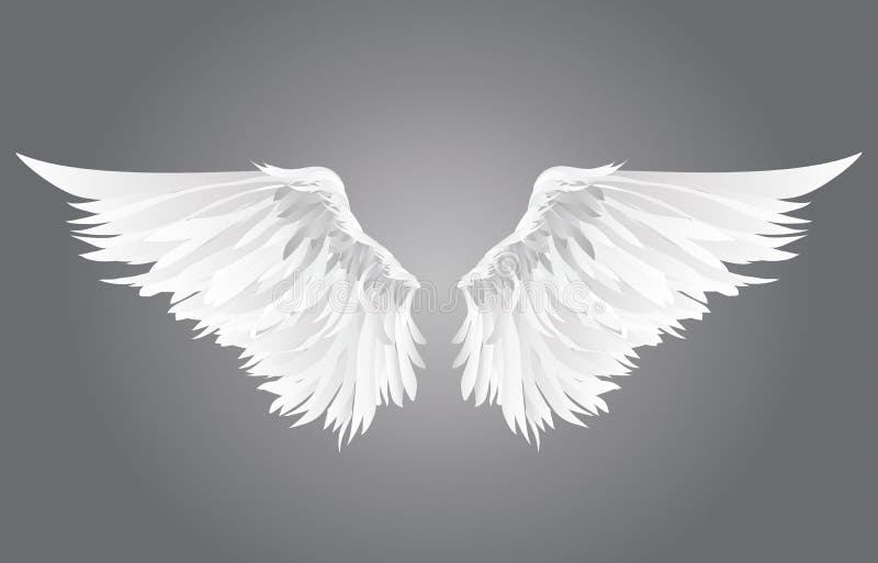 Grey Angel Wings Stock Illustrations – 398 Grey Angel Wings Stock ...