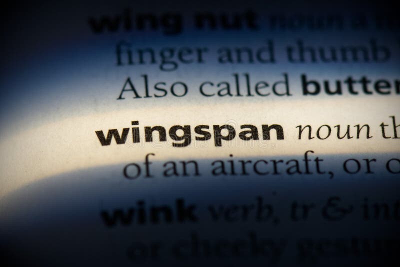 Wingspan stock image. Image of learn, concept, book - 161579019