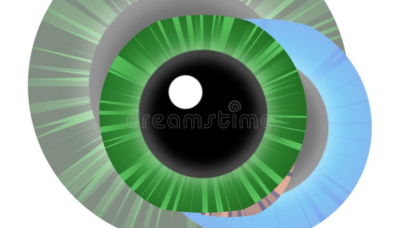 Winking human eyes stock video. Video of look, eyes, flying - 77762403