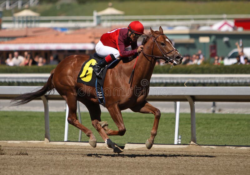 Santa Anita De Bimboya Stock Photos - Free & Royalty-Free Stock Photos ...