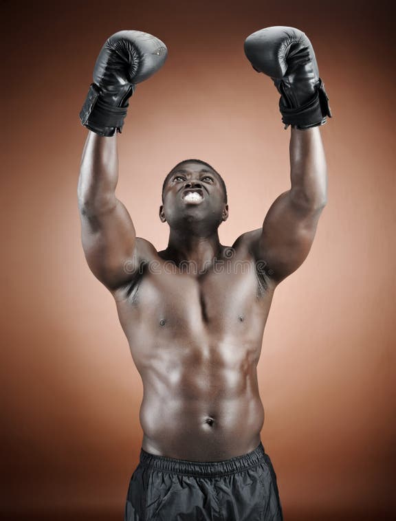 Winning boxer stock image. Image of boxer, flexing, macho - 21134437
