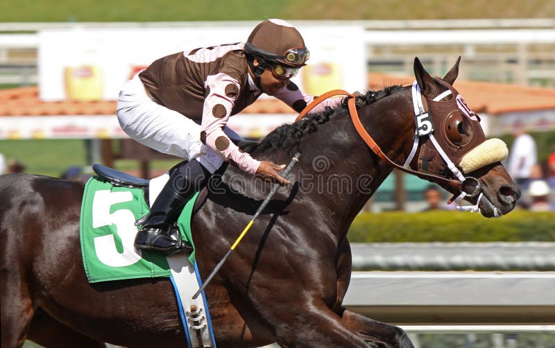 Winning the First Race editorial stock photo. Image of sport - 18730103