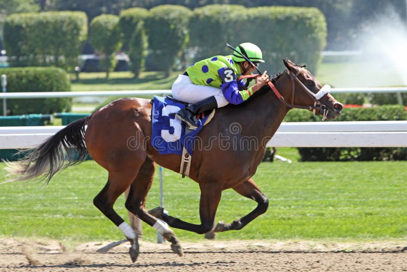 Winning Her First Race editorial image. Image of racehorse - 25880145