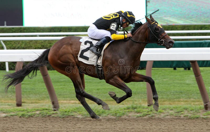 Winning Her First Race editorial image. Image of racehorse - 25880145