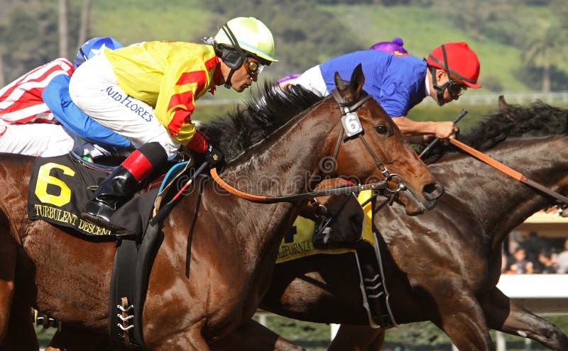 Winning His First Race editorial image. Image of flores - 18387410