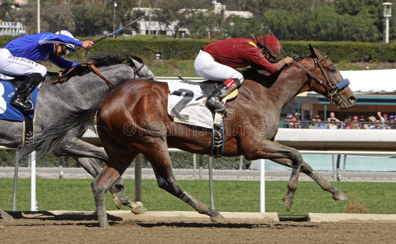 Winning His First Race editorial photo. Image of power - 23714741