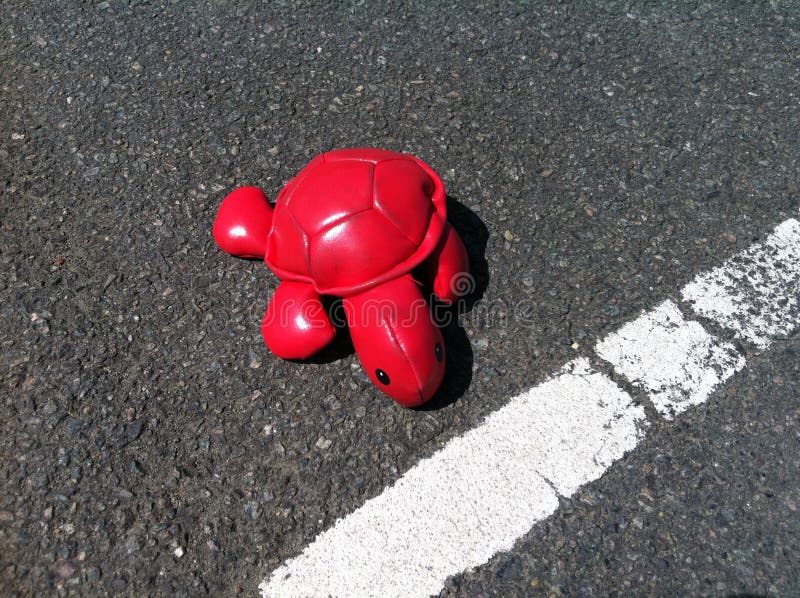 Winning toy tortoise stock photo. Image of athlete, slow - 40921968
