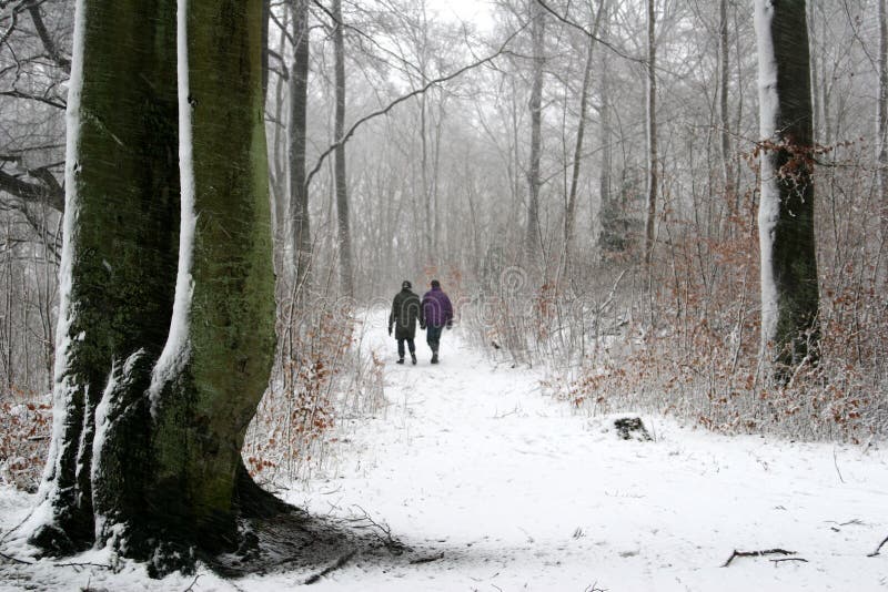 Winter stock image. Image of freeze, denmark, christmas - 1049745