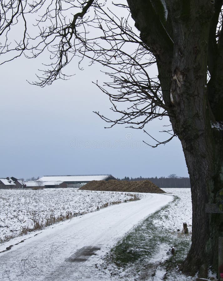 Snow on path stock photo. Image of seasonal, outdoor - 14320358