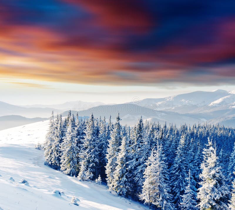 Winter stock image. Image of environment, idyllic, outdoor - 22097589