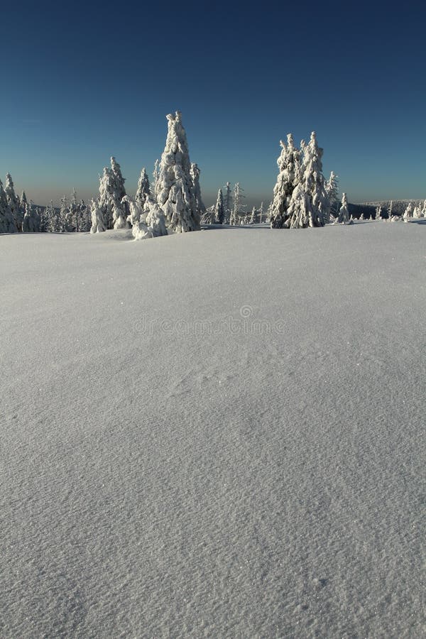 Winter stock image. Image of iced, winter, cold, scenery - 23516047