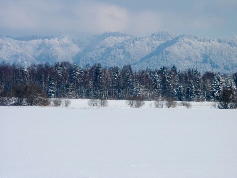 Winter stock photo. Image of season, winter, cold, icecold - 258646