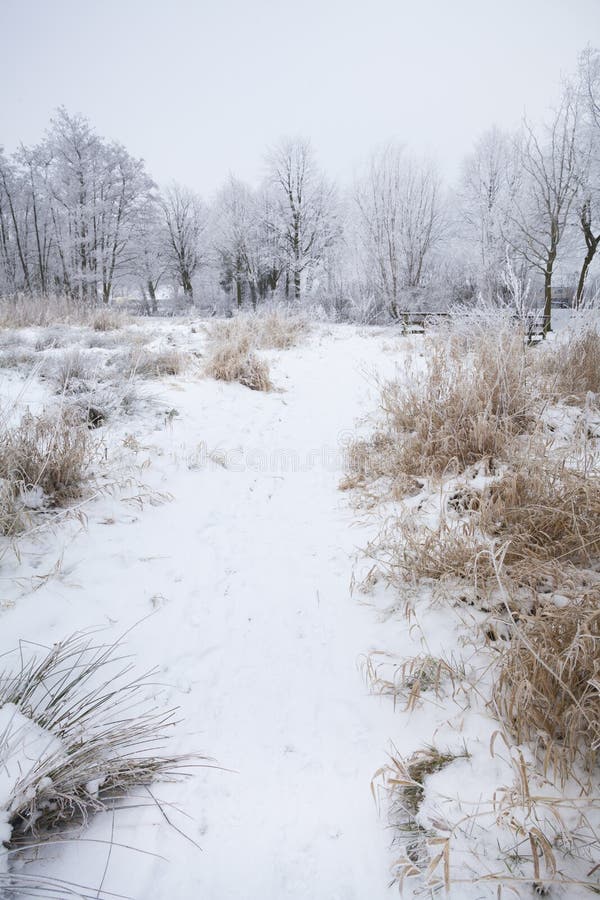 Winter stock image. Image of netherlands, winter, panorama - 28709071