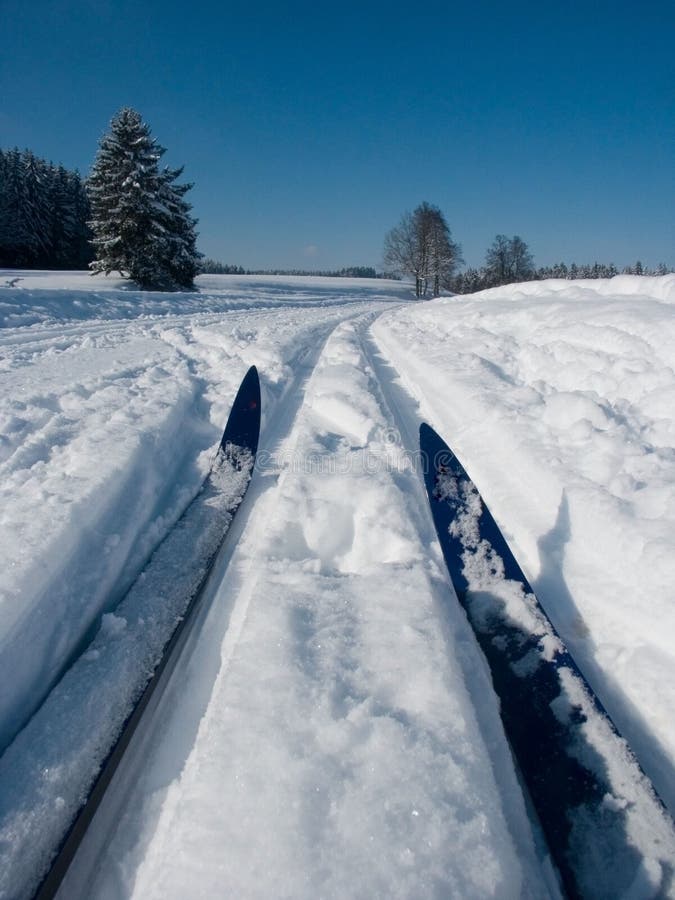 Winter stock photo. Image of season, winter, cold, icecold - 258646