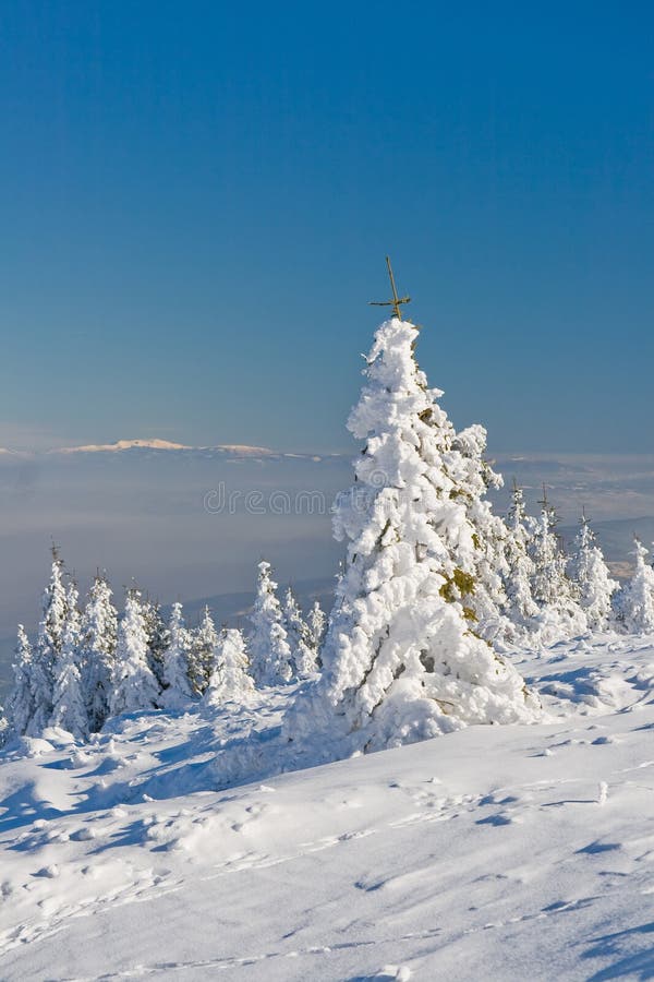 Winter Free Stock Photos & Pictures, Winter Royalty-Free and Public ...