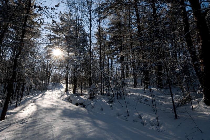 Winter Afternoon stock photo. Image of road, january, winter - 7635948