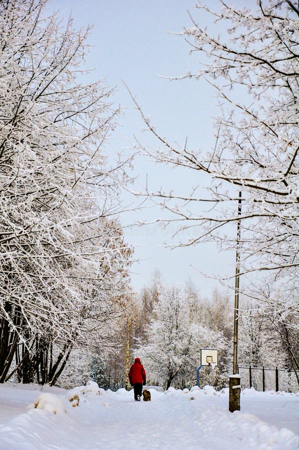 Winter afternoon stock image. Image of lithuania, winter - 50333065