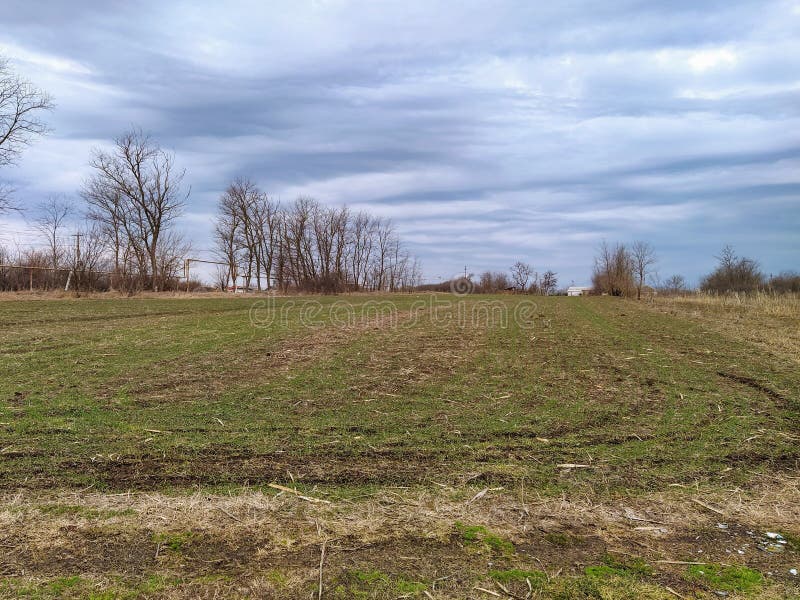 Winter Agricultural Field, the Harvest is Harvested Stock Image - Image ...