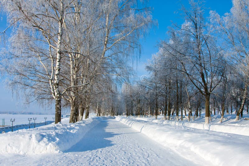 Winter alley stock photo. Image of christmas, skies, snowdrift - 27920804