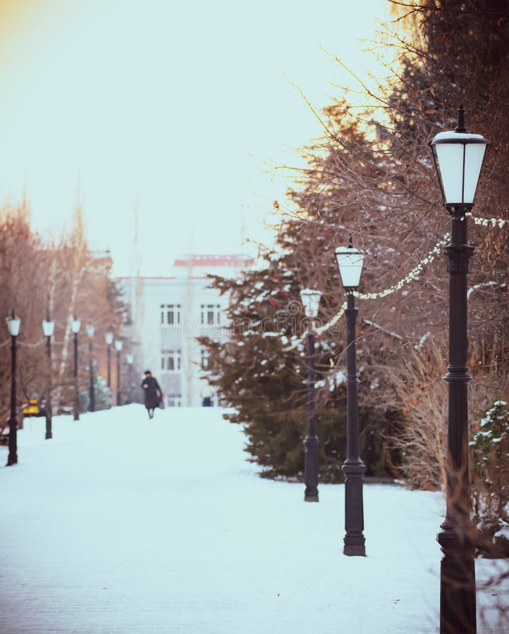 Winter alley in Russia stock image. Image of plant, town - 204105453