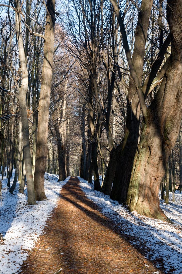 Winter alley way stock photo. Image of christmas, cold - 27978742