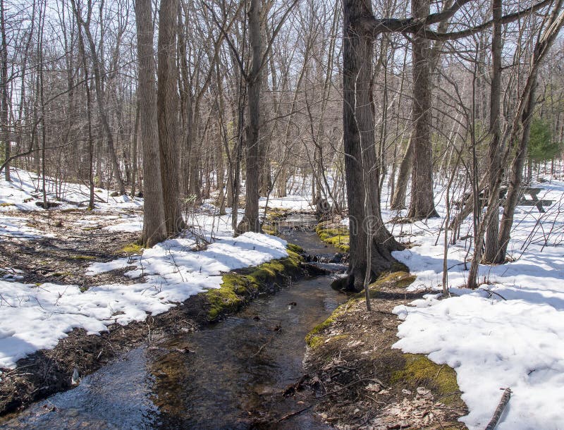 Winter Along the Brook in New England Stock Photo - Image of stream ...