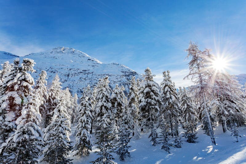 Alpine winter landscape stock photo. Image of bernina - 164994778