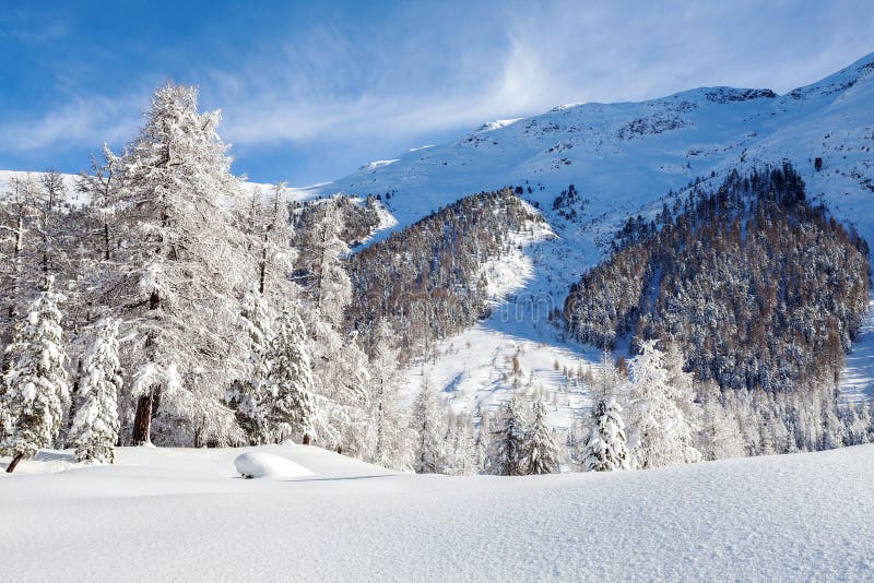 Alpine winter landscape stock photo. Image of bernina - 164994778