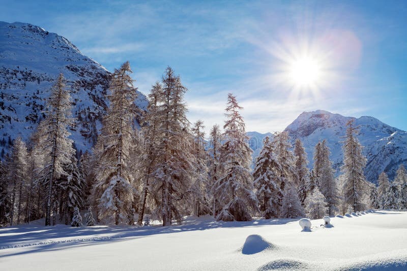 Alpine winter landscape stock photo. Image of bernina - 164994778
