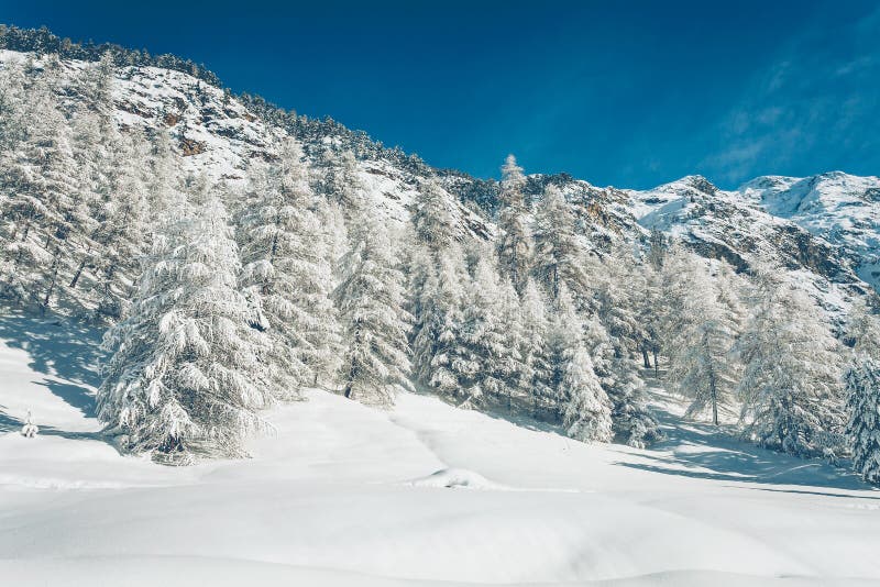 Alpine winter landscape stock photo. Image of bernina - 164994778